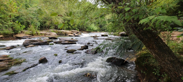 Tyger River Recreation Area Master Plan | Upstate Forever