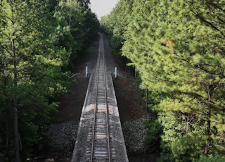 The Saluda Grade Rail Trail