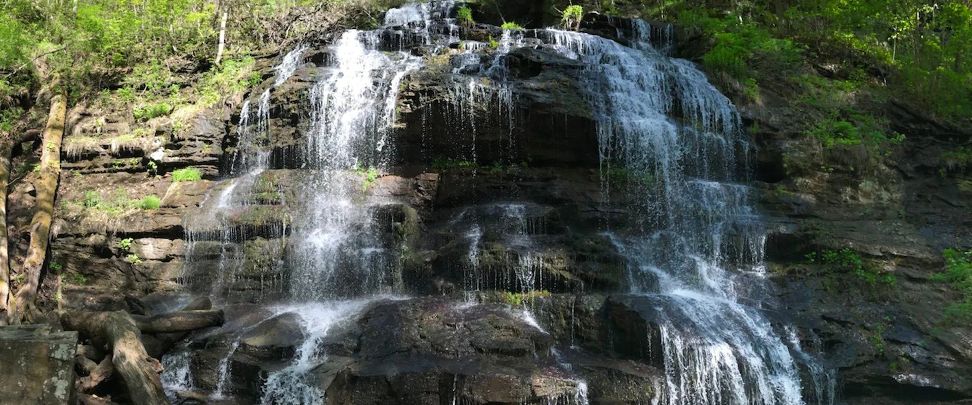 Waterfalls and Wildflowers: 5 great Upstate hikes to take in the sights ...